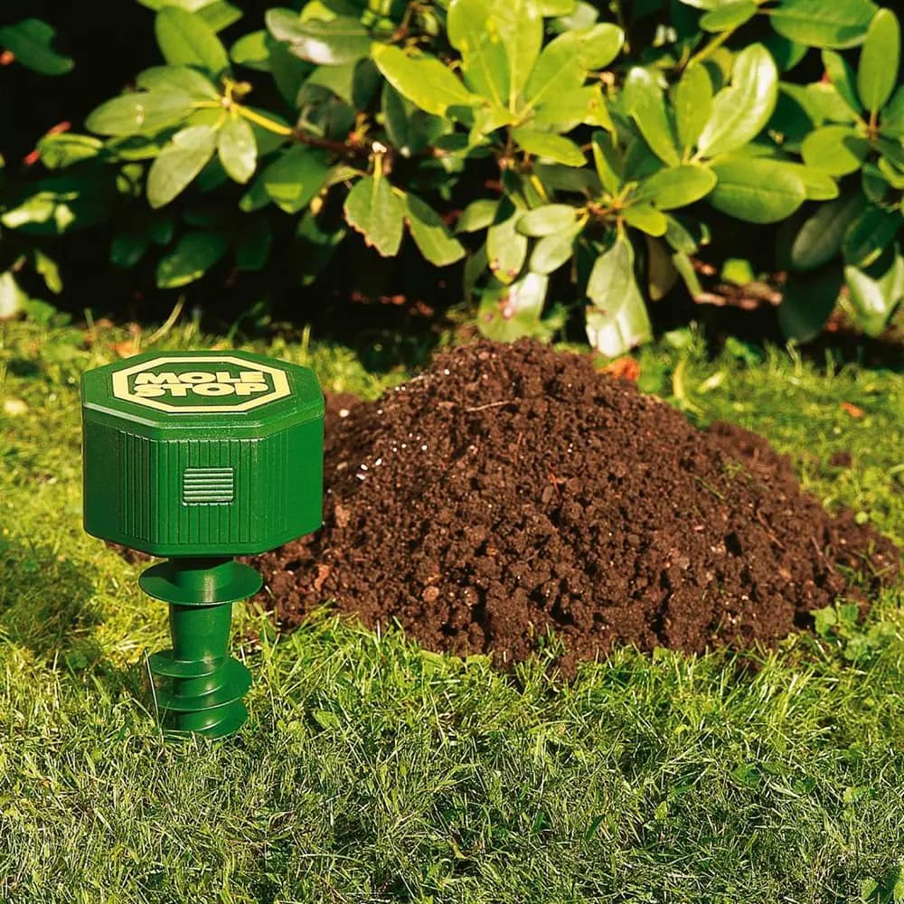 Mole Stop 1000 – Marknadens mest effektiva orm, mullvad- & sorkskrämma